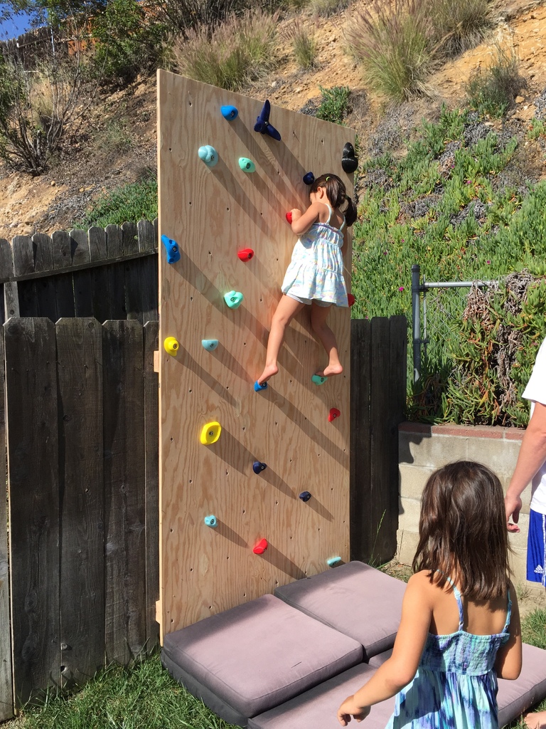 Kid Rock Wall Holds by jeffmullally - Thingiverse